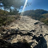 Window Cliffs Trail, Tennessee - 1,597 Reviews, Map | AllTrails