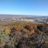 Pulpit Rock and Pinnacle Loop, Pennsylvania - 3,816 Reviews, Map ...