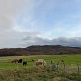 Duirinish and Drumbuie Coast Circuit, Highlands, Scotland - 66 Reviews ...