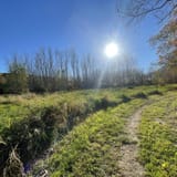 Farmdale Recreation Area Trail, Illinois - 969 Reviews, Map | AllTrails