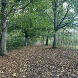 Erddig Park Circular, Wrexham, Wales - 157 Reviews, Map | AllTrails