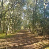 Grafham Water Circular, Cambridgeshire, England - 470 Reviews, Map ...