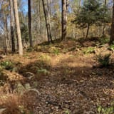 Shaupeneak Ridge Trail, New York - 432 Reviews, Map | AllTrails