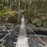 Edward's Point Trail, Tennessee - 2,826 Reviews, Map | AllTrails