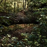 Yahoo Falls, Yahoo Arch, and Markers Arch, Kentucky - 526 Reviews, Map ...
