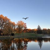 Mount Royal Park Loop, Quebec, Canada - 2,251 Reviews, Map | AllTrails