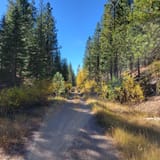 Bizz Johnson Trail, California - 185 Reviews, Map | AllTrails
