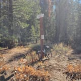 Bizz Johnson Trail, California - 185 Reviews, Map | AllTrails