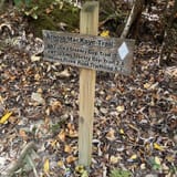 Fall Branch Falls Trail, Georgia - 1,409 Reviews, Map | AllTrails