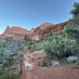 Hangover Trail, Arizona - 2,114 Reviews, Map | AllTrails
