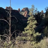 Hangover Trail, Arizona - 2,114 Reviews, Map | AllTrails