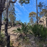 Mount Cooke Loop, Western Australia, Australia - 646 Reviews, Map ...