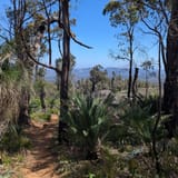 Mount Cooke Loop, Western Australia, Australia - 646 Reviews, Map ...