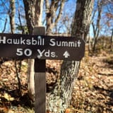 Hawksbill Loop Trail, Virginia - 5,338 Reviews, Map | AllTrails