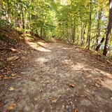 Lake Johnson Trail, North Carolina - 1,015 Reviews, Map | AllTrails