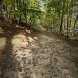 Lake Johnson Trail, North Carolina - 1,015 Reviews, Map | AllTrails