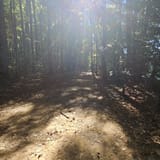 Lake Johnson Trail, North Carolina - 1,015 Reviews, Map | AllTrails