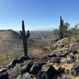 Cholla Loop, Arizona - 4,480 Reviews, Map | AllTrails