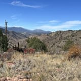 Mount Morrison Trail, Colorado - 6,655 Reviews, Map | AllTrails