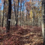Broad Meadow Brook Trail, Massachusetts - 860 Reviews, Map | AllTrails