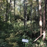 Washington Park Loop, Oregon - 1,970 Reviews, Map | AllTrails