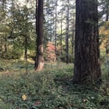 Washington Park Loop, Oregon - 1,970 Reviews, Map | AllTrails