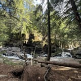 Auger Falls Loop, New York - 756 Reviews, Map | AllTrails