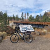 Bizz Johnson Trail, California - 185 Reviews, Map | AllTrails