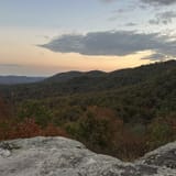Devils Knob Loop, Arkansas - 233 Reviews, Map | AllTrails