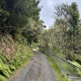 Cossey Massey Loop Track, Auckland, New Zealand - 932 Reviews, Map ...