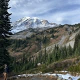 Skyline Loop, Washington - 20,819 Reviews, Map | AllTrails
