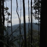 Mount Angsi, Negeri Sembilan, Malaysia - 1,048 Reviews, Map | AllTrails