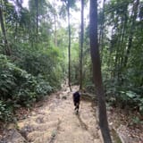 Mount Angsi, Negeri Sembilan, Malaysia - 1,048 Reviews, Map | AllTrails