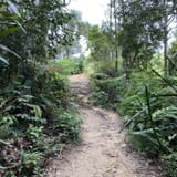 Mount Angsi, Negeri Sembilan, Malaysia - 1,048 Reviews, Map | AllTrails