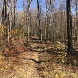 Mount Davis Pennsylvania Highpoint Trail, Pennsylvania - 785 Reviews ...