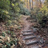 Ramsey Cascades Trail, Tennessee - 2,660 Reviews, Map | AllTrails