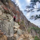 Precipice Loop, Maine - 5,491 Reviews, Map | AllTrails