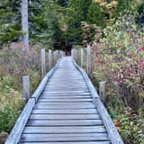Zealand Bonds Traverse, New Hampshire - 780 Reviews, Map | AllTrails