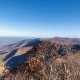 Hawksbill Loop Trail, Virginia - 5,338 Reviews, Map | AllTrails