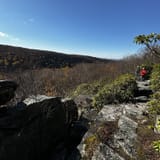 Wolf Rocks Trail, Pennsylvania - 1,569 Reviews, Map | AllTrails
