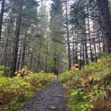 Two Lakes Trail, Alaska - 571 Reviews, Map | AllTrails