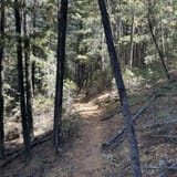 Beaver Brook Trail, Colorado - 1,512 Reviews, Map | AllTrails