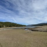 Sagehen Creek Loop, California - 1,104 Reviews, Map | AllTrails
