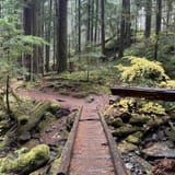 Silver Falls Loop, Washington - 4,184 Reviews, Map | AllTrails