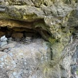 Makiki Valley Loop, Oahu, Hawaii - 6,030 Reviews, Map | AllTrails