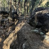 Makiki Valley Loop, Oahu, Hawaii - 6,030 Reviews, Map | AllTrails