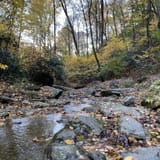 Kelly's Run Loop Trail, Pennsylvania - 3,963 Reviews, Map | AllTrails