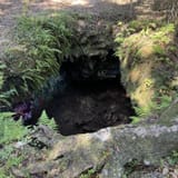 Dames Cave, Florida - 626 Reviews, Map | AllTrails