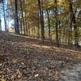 White Bison Loop, Missouri - 2,670 Reviews, Map | AllTrails