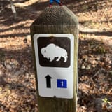 White Bison Loop, Missouri - 2,670 Reviews, Map | AllTrails